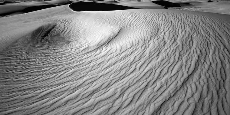 Join the Lines In Nature Photo Contest and win Sony Alpha NEX5 Digital ...